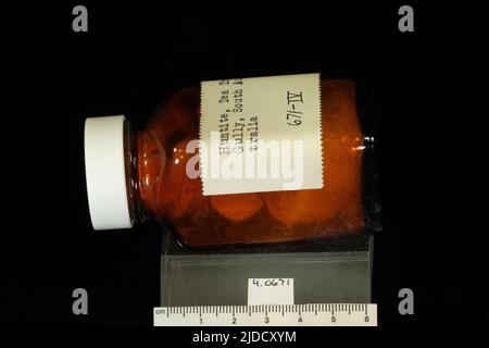 Huntite. minerals. Australia; South Australia State; Tea Tree Gully ...