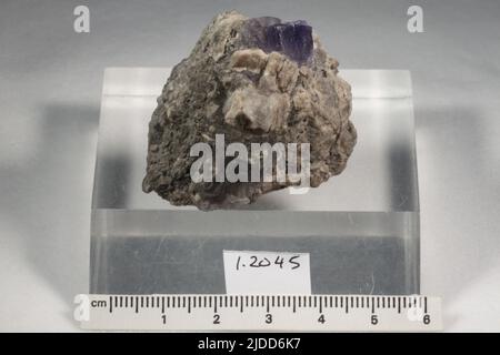 Halite. minerals. Europe; Poland; Wieliczka; Wieliczka mine Stock Photo ...