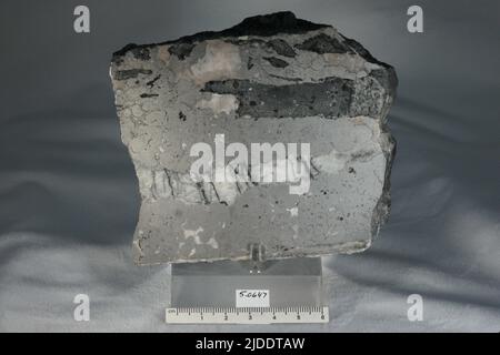 Skutterudite. minerals. North America; Canada; Ontario; Timiskaming ...