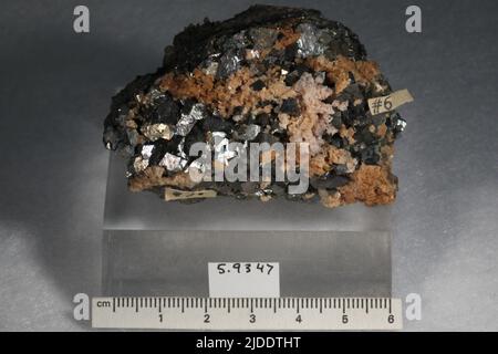 Arsenopyrite. minerals. Europe; Kosovo; Trepca; Trepca [Yugoslavia ...