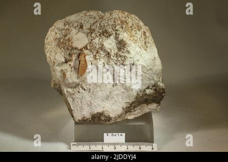 Magnesite. minerals. North America; USA; Rhode Island; Providence ...