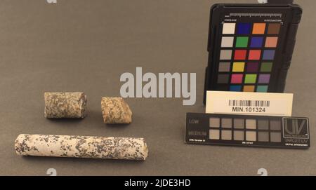 taxon undetermined. North America; USA; New Jersey; Sussex County ...