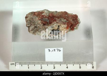 Stolzite. minerals. Europe; Czechoslovakia; Bohemia, Zinnwald Stock ...