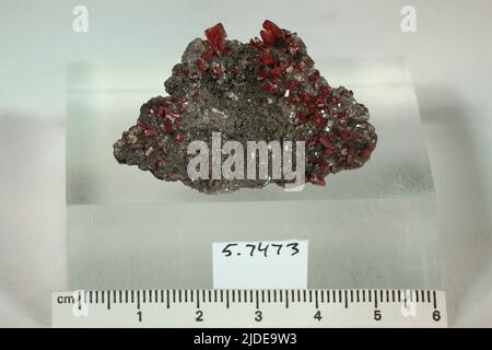 Vanadinite. minerals. North America; USA; Arizona; La Paz County ...