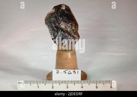 Titanite. minerals. North America; USA; New York; Saint Lawrence County ...