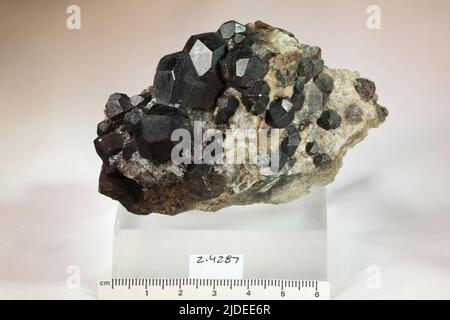 Garnet. minerals. North America; USA; Massachusetts; Hampden County ...
