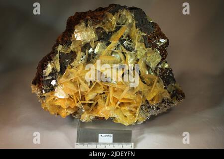 Wulfenite. minerals. North America; USA; Utah; Box Elder County; Tecoma ...