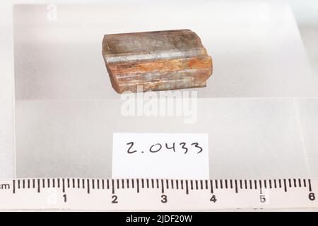 Tremolite. minerals. North America; USA; New York; Saint Lawrence ...