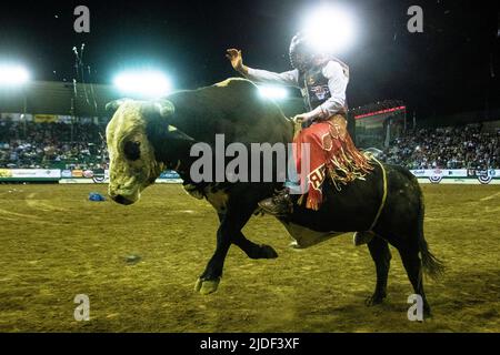 Reno, United States. 19th June, 2022. Kody Lamn celebrates after his ...