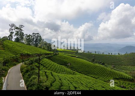 Beautiful view from Munnar Bypass Tea Garden Viewpoint, Munnar, Kerala ...