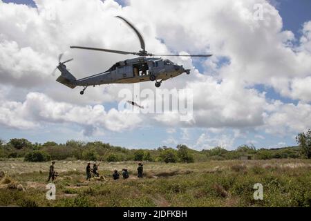 U.S. Navy Hospital Corpsmen with 1st Medical Battalion, 1st Marine ...