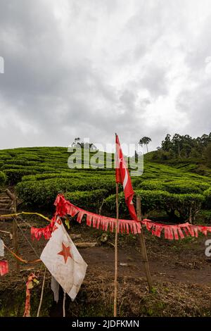 Communist flags put up by All India Trade Union Congress over roadside ...
