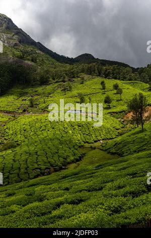 View of a bus on the Munnar - Kumily Highway beneath mountains and over ...