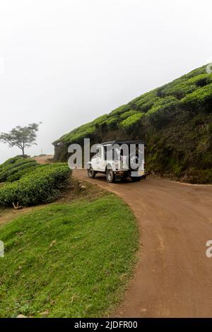 Jeep safari on a narrow off-road trail through world’s highest ...