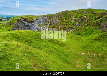 The reef limestone outcrop seen in an old quarry at Windy Knoll ...