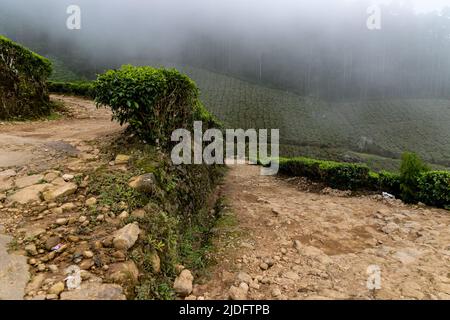 Jeep safari on a narrow off-road trail through world’s highest ...