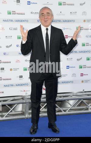 Rome, Italy. 20th June, 2022. Ippolita Di Mayo attends the blu carpet ...