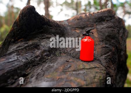Burnt tree stump with a miniature red fire extinguisher outdoors ...