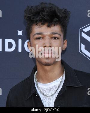 Trace Austin arrives at THE KILLER Los Angeles Premiere held at the ...