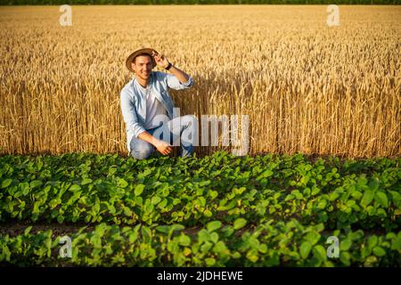 Happy farmer enjoys in his growing wheat and soybean field Stock Photo ...
