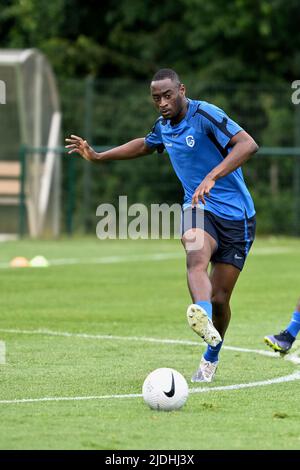 Mujaid Sadick (3) of Genk pictured during the Jupiler Pro League season ...
