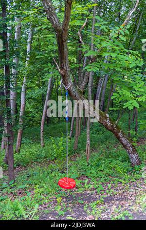 Single Rope Tree Swing Disc in Woods Kids Fun Stock Photo - Alamy