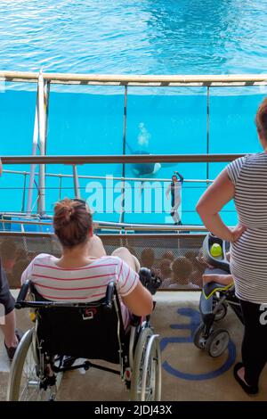 Orcas or Killer Whales on display, Marineland, France Stock Photo - Alamy