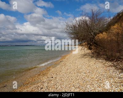 Meon Shore - Hampshire UK Stock Photo - Alamy