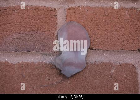 abstract silicone adhesive on a red and grey brick wall Stock Photo - Alamy