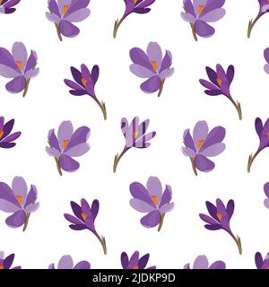 Saffron. Mountain flowers. Spring vector illustration. Envelope filled ...