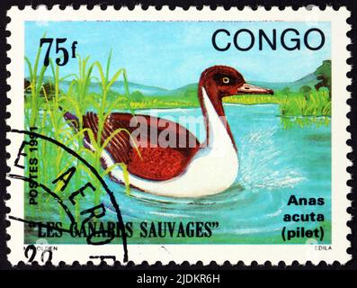 CONGO - CIRCA 1991: stamp printed by Congo, shows duck, circa 1991 ...