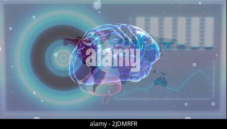 Image of human brain, data processing over world map Stock Photo - Alamy