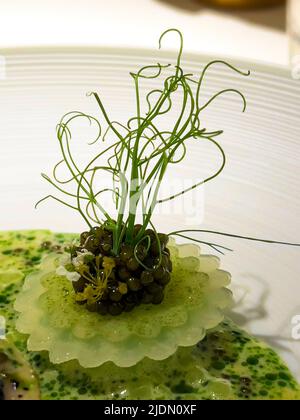 Michelin star restaurant fish course from the taster menu Stock Photo ...