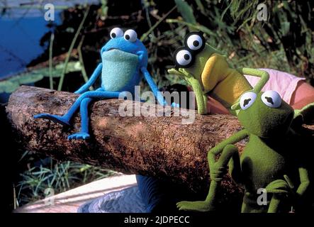 KERMIT, KERMIT'S SWAMP YEARS, 2002 Stock Photo - Alamy