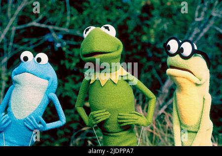 CROAKER, GOGGLES, KERMIT, KERMIT'S SWAMP YEARS, 2002 Stock Photo - Alamy