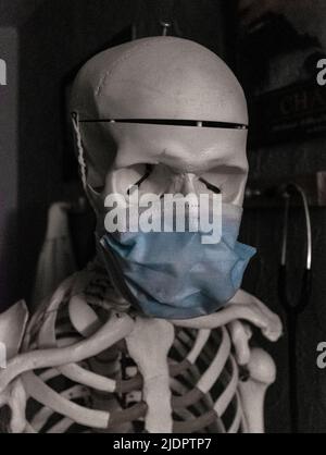 skull/skeleton with medical mask on Stock Photo - Alamy