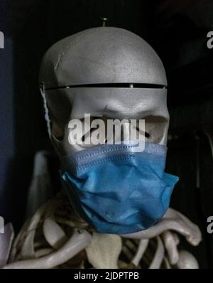 skull/skeleton with medical mask on Stock Photo - Alamy