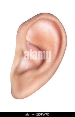 bright closeup picture of a Male ear Stock Photo - Alamy