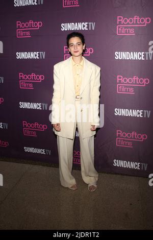 Jenny Slate attends Rooftop Films' screening of Marcel the Shell With ...