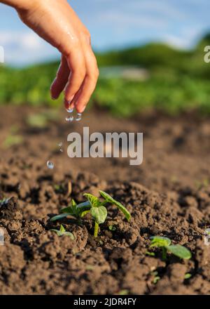 Little girl dripping water on colorful paper worms. Sensory development ...