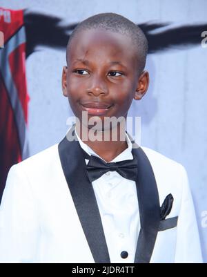 Elijah Sholanke arrives at The Disney RISE Premiere held at Disney ...