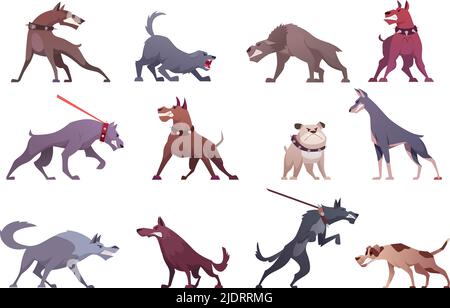 Mad dogs. Angry animals with sharp teeth exact vector zombie dogs in ...