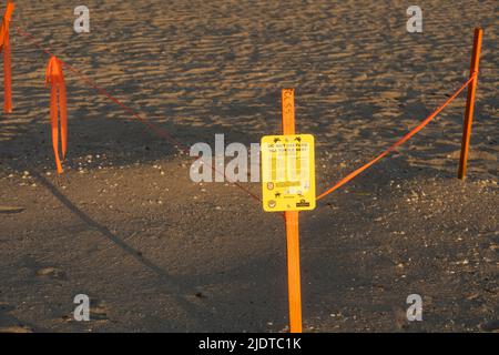 Sea turtle nesting area sign Stock Photo - Alamy