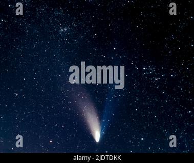 Comet Hale Bopp 1997 Stock Photo - Alamy