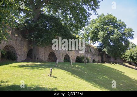 Fortress Ruins in Blankenberg Germany Stock Photo - Alamy