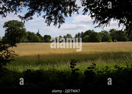 The Park Grass experiment, one of the long-term or classical ...