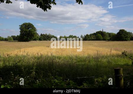 The Park Grass experiment, one of the long-term or classical ...