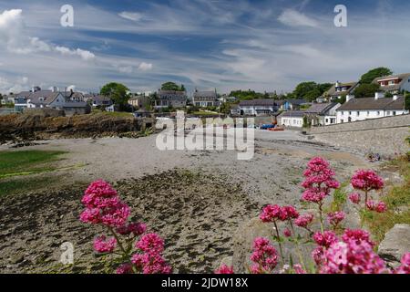 Y Swnt Cottages, Moelfre, Anglesey, North Wales Stock Photo - Alamy