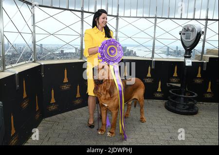 June 8, 2022, New York, New York, USA: CEO of Moderna (R) STEPHANE ...