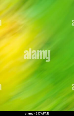 Olive chlorine blur with bokeh green color abstract bacground. Chlorine ...